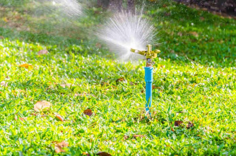 Top-Quality Irrigation with The Best Lawn Sprinkler Head - Plant And Lights