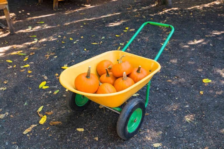 Best Two Wheel Wheelbarrow for Enjoyable Gardening - Plant And Lights